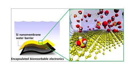 Dissolution Of Monocrystalline Silicon Nanomembranes And Their Use As