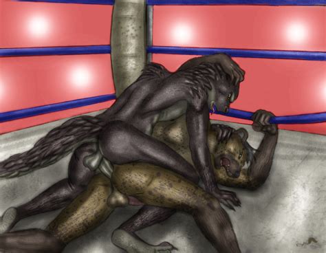 Rule 34 Anal Anthro Balls Duo Fight Fighting Ring Forced Genitals