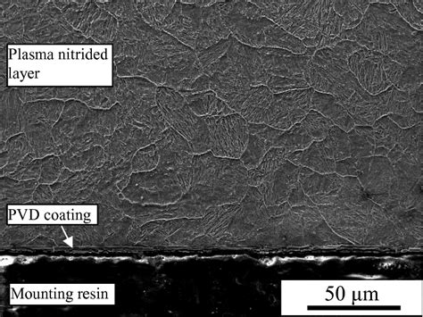 Sem Micrograph Of The Plasma Nitrided Layer Under The Tialn Ml Download Scientific Diagram