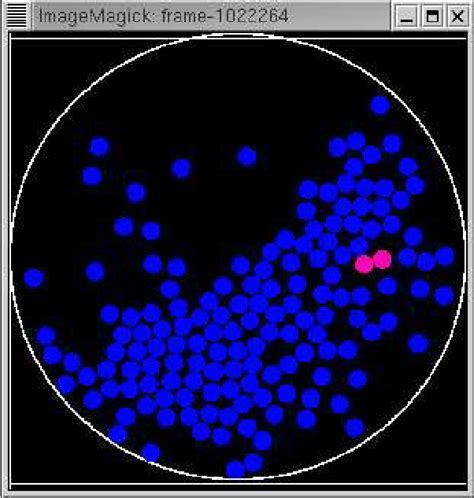 24 Snapshot Frame 2 Showing Evolution Of Granular Gas ω Y 600