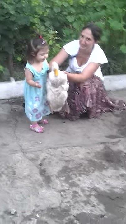 Латифа принцса Youtube