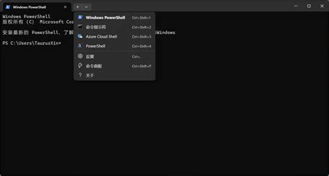 「windows」别再用 Cmd 了！换成 Windows Terminal Powershell 7