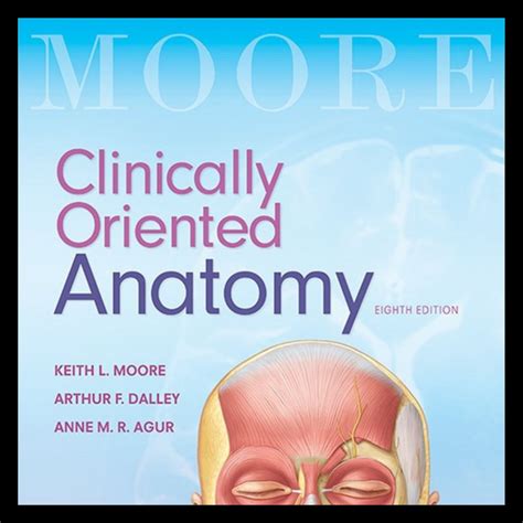 Moore Clinical Anatomy Moore Clinically Oriented Anatomy At