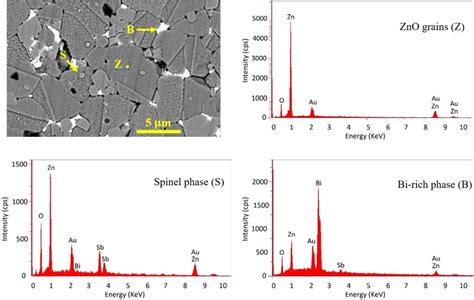Fe Sem Micrograph And Edx Spectra Of Sample 950 Z Zno Grains B