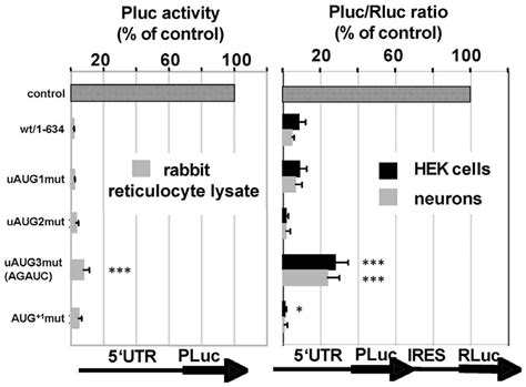 Mutational Analysis Of Upstream Open Reading Frames Individual Download Scientific Diagram