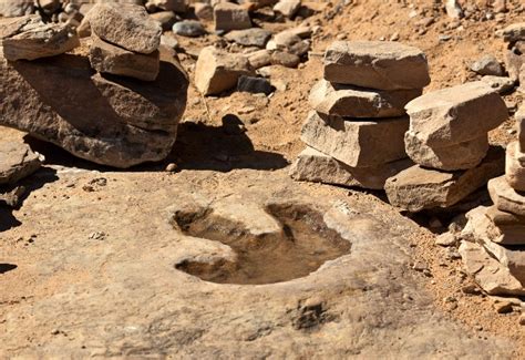 30 Most Impressive Fossil Sites In North America Top Value Reviews