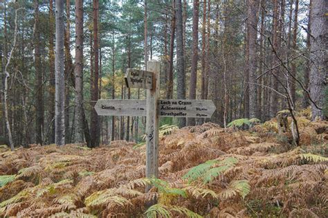 Contin Forest And View Rock Circuit Near Contin