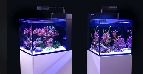 How does everyone feel about the Red Sea Nano AIOs? - General ...