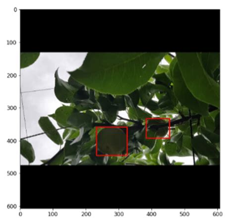 Example Detections From The Different Yolov4 Models Using An Image With