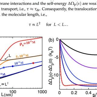 (color online) (a) polymer capture velocity (14) and (b) translocation... | Download Scientific ...