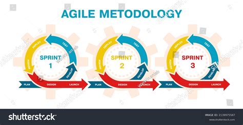 Agile Project Management Development Methodology Infographic Stock Illustration