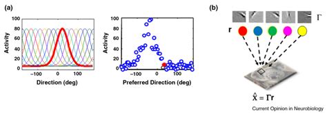 Efficiency On Neural Encoding Decoding And Noise Mind Reading