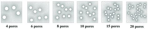 Models Of Different Pore Numbers Download Scientific Diagram