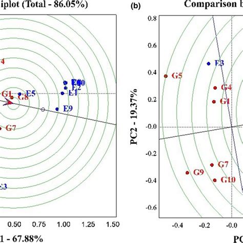 A Genotype Plus Genotype Environment Interaction Gge Bi‐plot For