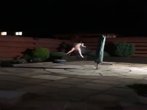 Guys Try To Launch Sex Doll With Fireworks