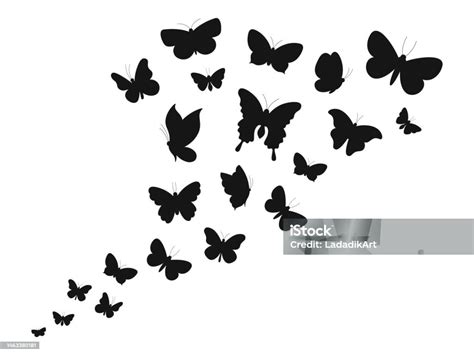 비행 나비 검은 아이콘입니다 문신 스텐실 실루엣 봄 나비 그래픽 다양한 곤충이 하늘로 날아가고 고립된 정원 곤충 레이시 벡터 배경 검은색에 대한 스톡 벡터 아트 및 기타