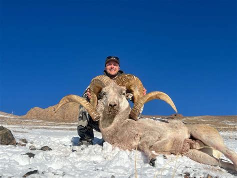 Best Marco Polo Sheep Hunting Trips 1 Around In The World