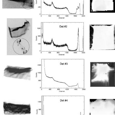 Schematics Of A Parallelepiped Shaped Virtual Frisch Grid Czt Detector Download Scientific