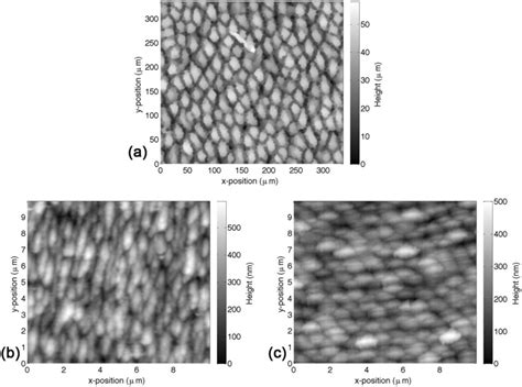 Surface Topography Of Laser Treated Surfaces A Spikes Acquired With