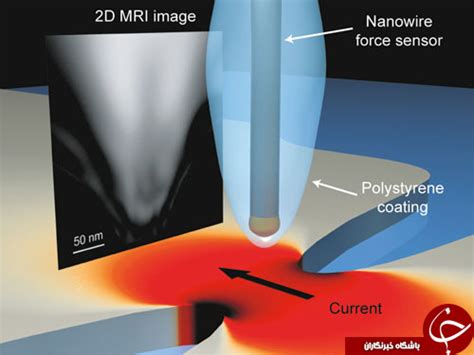 رکورد کوچکترین دستگاه ام آر آی جهان شکسته شد تصاویر