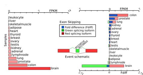 Splicing Express A Software Suite For Alternative Splicing Analysis