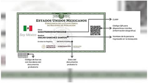 Cómo Sacar Fácil Y Rápido La Curp Biométrica El Nuevo Documento En