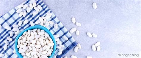 Magnesio Lidl Precio Las Mejores Opciones Para Mejorar Tu Salud Mi Hogar