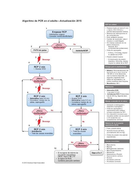 Algoritmo Rcp Basico Pdf