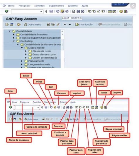 Rafaela Martins On Linkedin Layout Sap 👇🏻