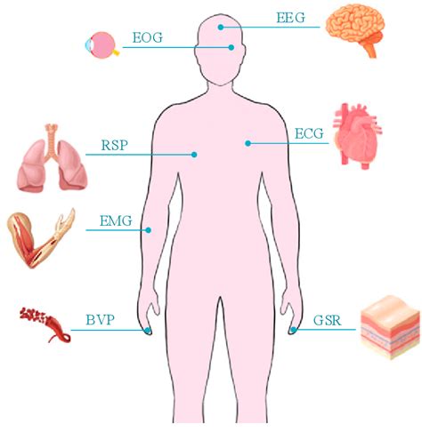 Figure 1 From Emotion Recognition Using Different Sensors Emotion