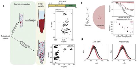 NMR And EPR For The Study Of Phase Separating RNA Binding Proteins Swiss National Center Of