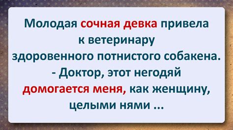 Молодая Сочная Девка Дала г ну Собакену Сборник Свежих Анекдотов Юмор YouTube