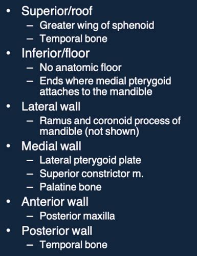 J Infratemporal Fossa Flashcards Quizlet
