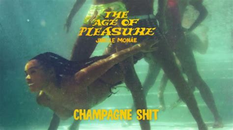 Janelle Monáe - Champagne Shit [Official Audio] - YouTube