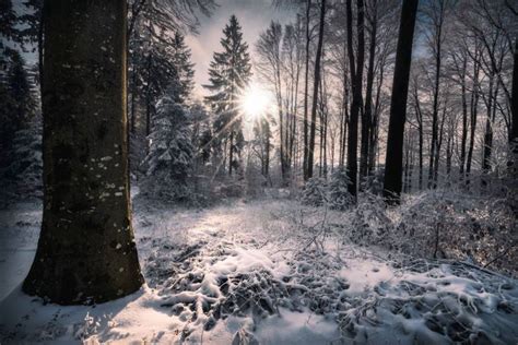 Традиции и примету в День Андрея Первозванного 13 декабря 2022 года