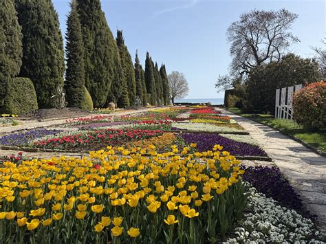 Сладкарница Шоколино Added A New Photo Сладкарница Шоколино