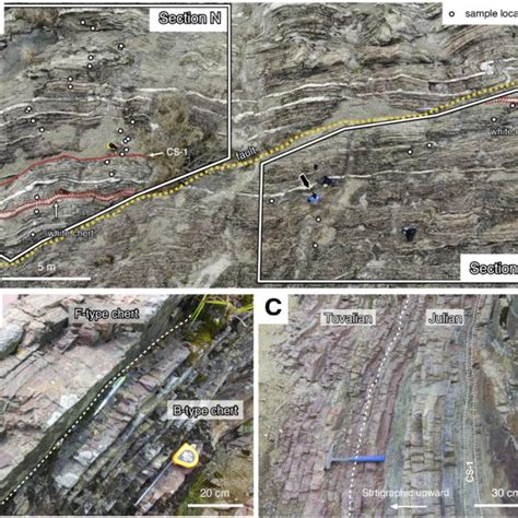 Pdf Marine Osmium Isotope Record During The Carnian “pluvial Episode” Late Triassic In The