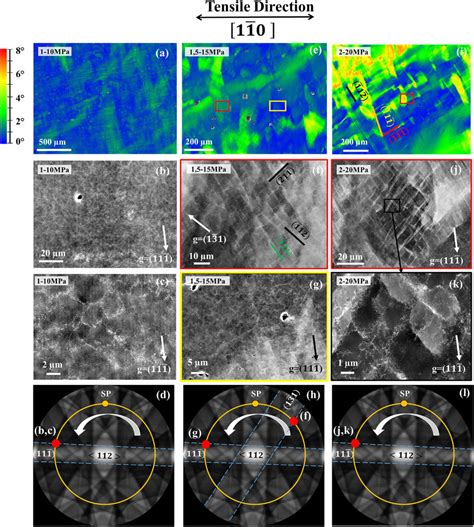Microstructure Of The Cu Sample After The Different Loading Steps A Download Scientific