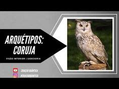 24 Ideias De Coruja Arquétipo Da Sabedoria Coruja Corujas Coruja