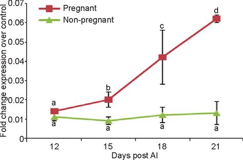 Transcriptional Abundance Of Ccl8 Gene In Pregnant And Non Pregnant