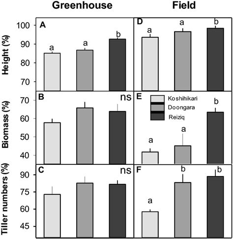 Effects Of Salinity On Agronomical Traits Of Three Rice Genotypes At