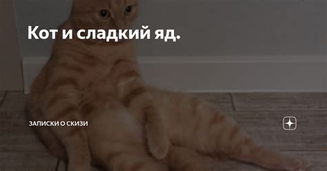 Кот и сладкий яд. | Записки о Скизи | Дзен