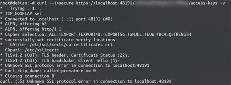 Installation Get Stuck At Ssl · Issue 495 · Jigsaw Codeoutline Server · Github