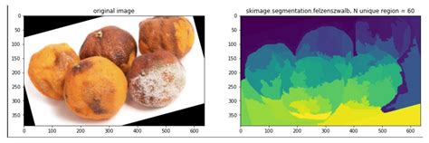 A Novel Deep Learning Model For Detection Of Severity Level Of The Disease In Citrus Fruits