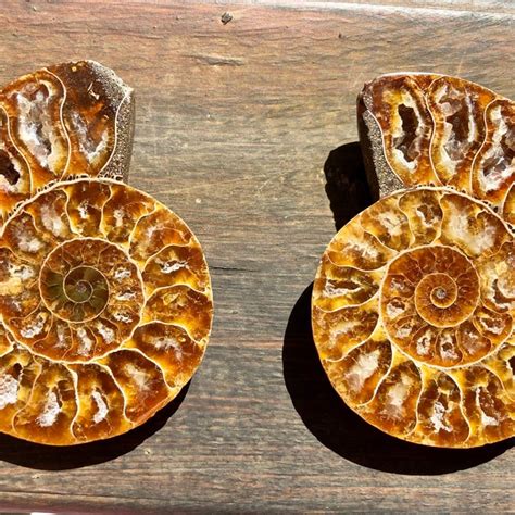 128xx Ultra Rare Mineral Pseudomorph Hematite After Magnetite Large 2 8 Argentina Museum