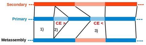 Schematic Representation Of The Pairwise Merging Process Dark Color