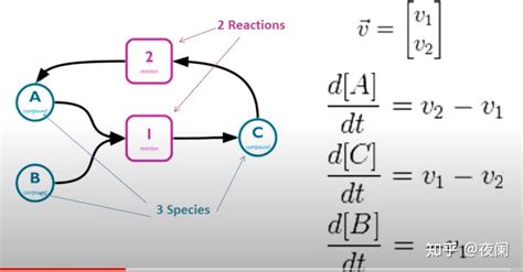 流平衡分析（flux Balance Analysis） 知乎