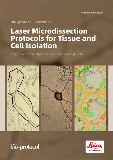 Laser Microdissection Protocols For Tissue And Cell Isolation —— Bio