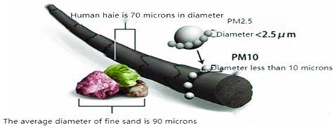 Size Of Human Respirable Particulate Matter Download Scientific Diagram