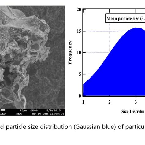 Sem Image And Particle Size Distribution Gaussian Green Of Soot